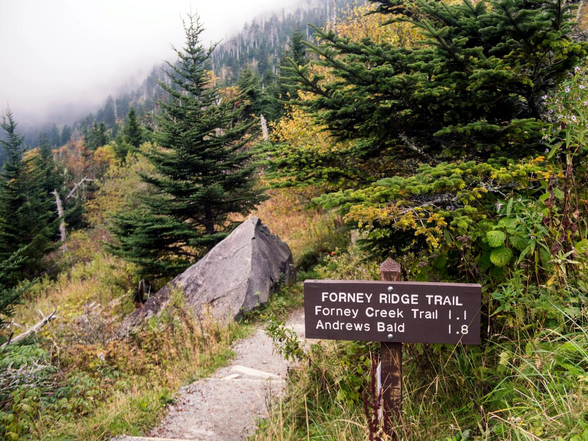 Hike the Forney Ridge Trail