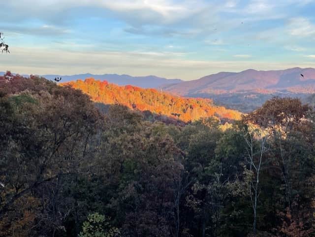 See The View Times 2