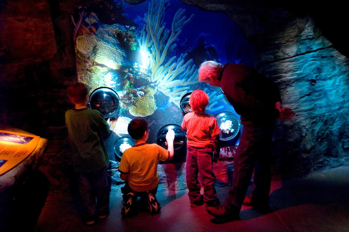 Milton J Rubenstein Museum of Science & Technology (MOST)