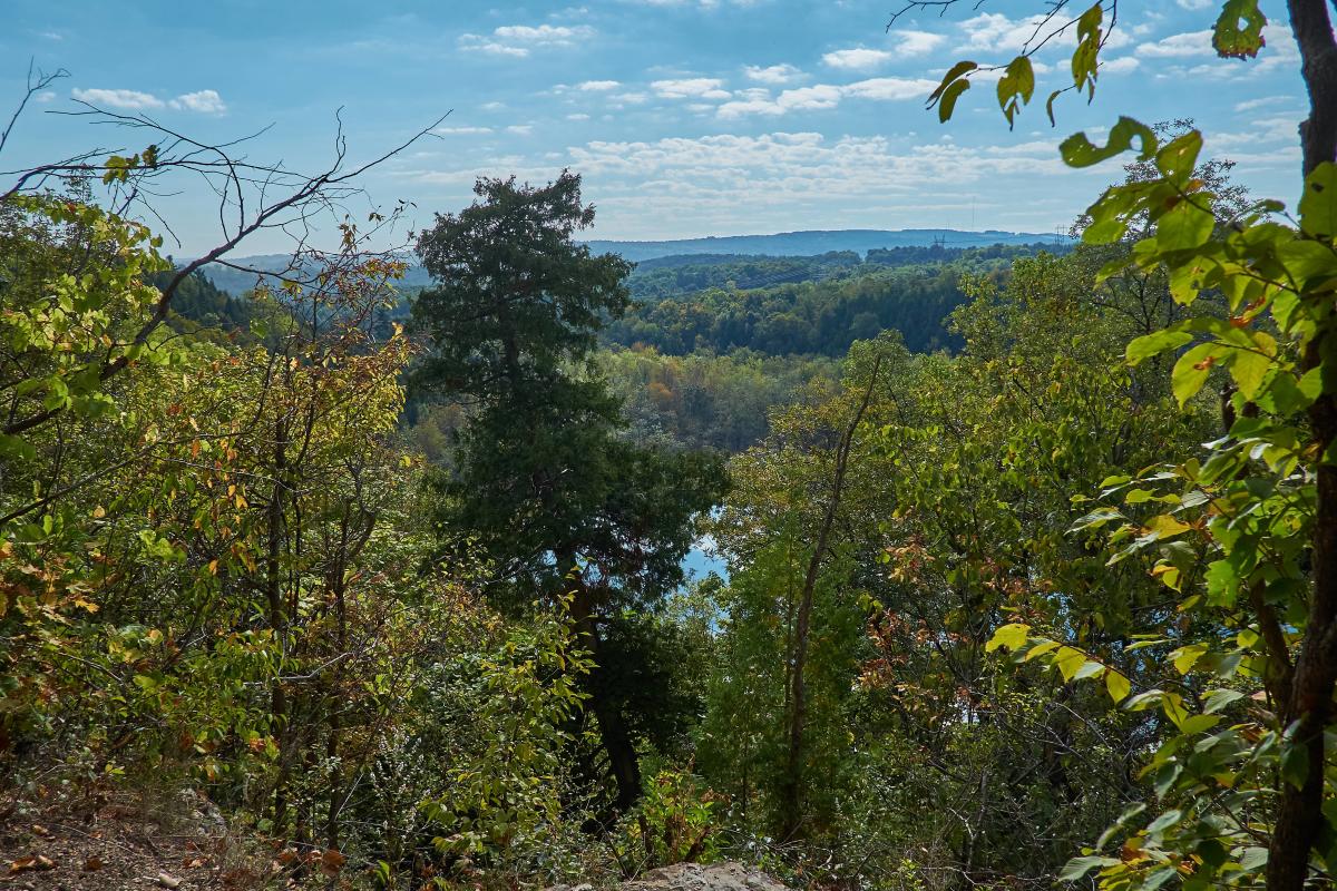 Clark Reservation State Park