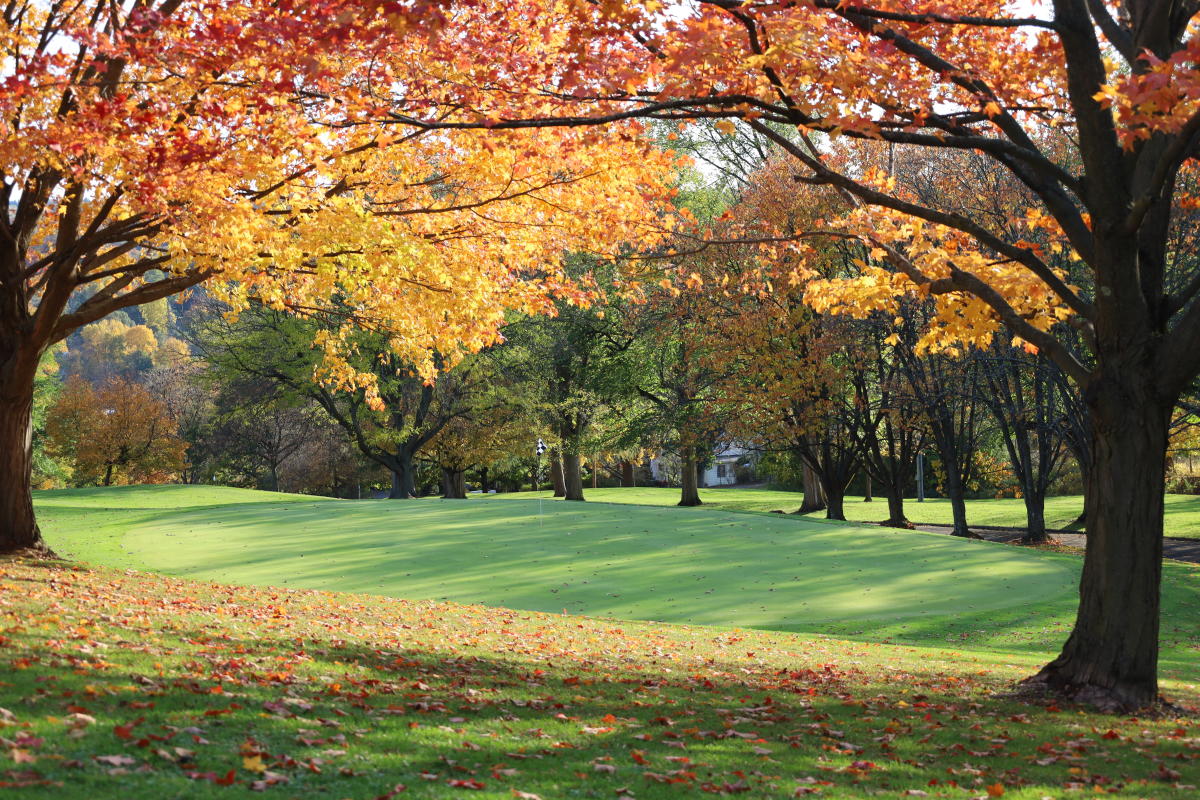 Burnet Park