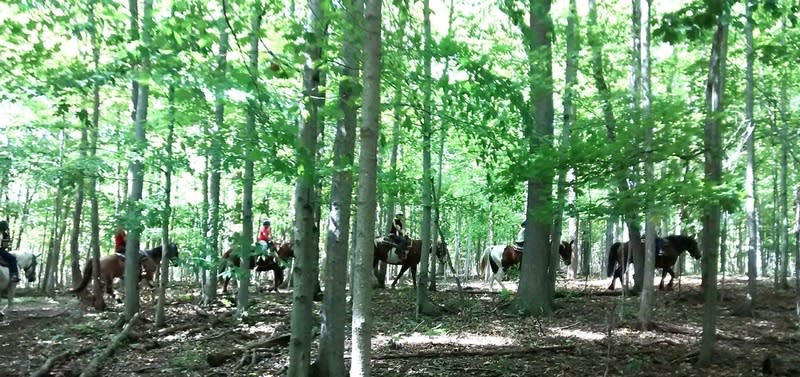 Rt 80 Quarry Ridge Stables & Cabins