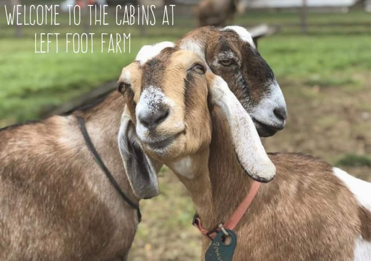 The Red Cabin at Left Foot Farm