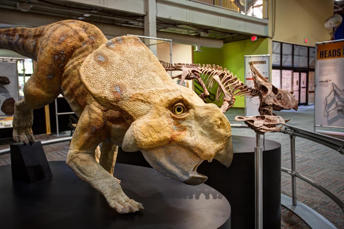 MOSI - Museum of Science & Innovation