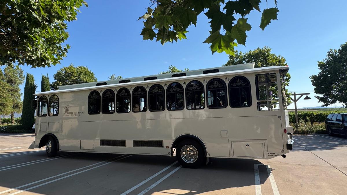 Little Bus Tours