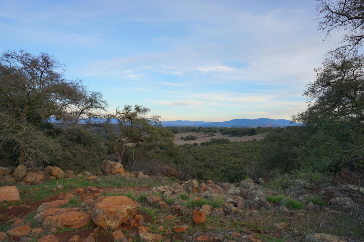 Santa Rosa Plateau Foundation