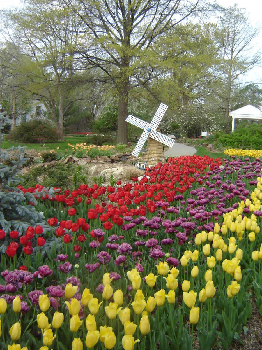 Botanical Garden