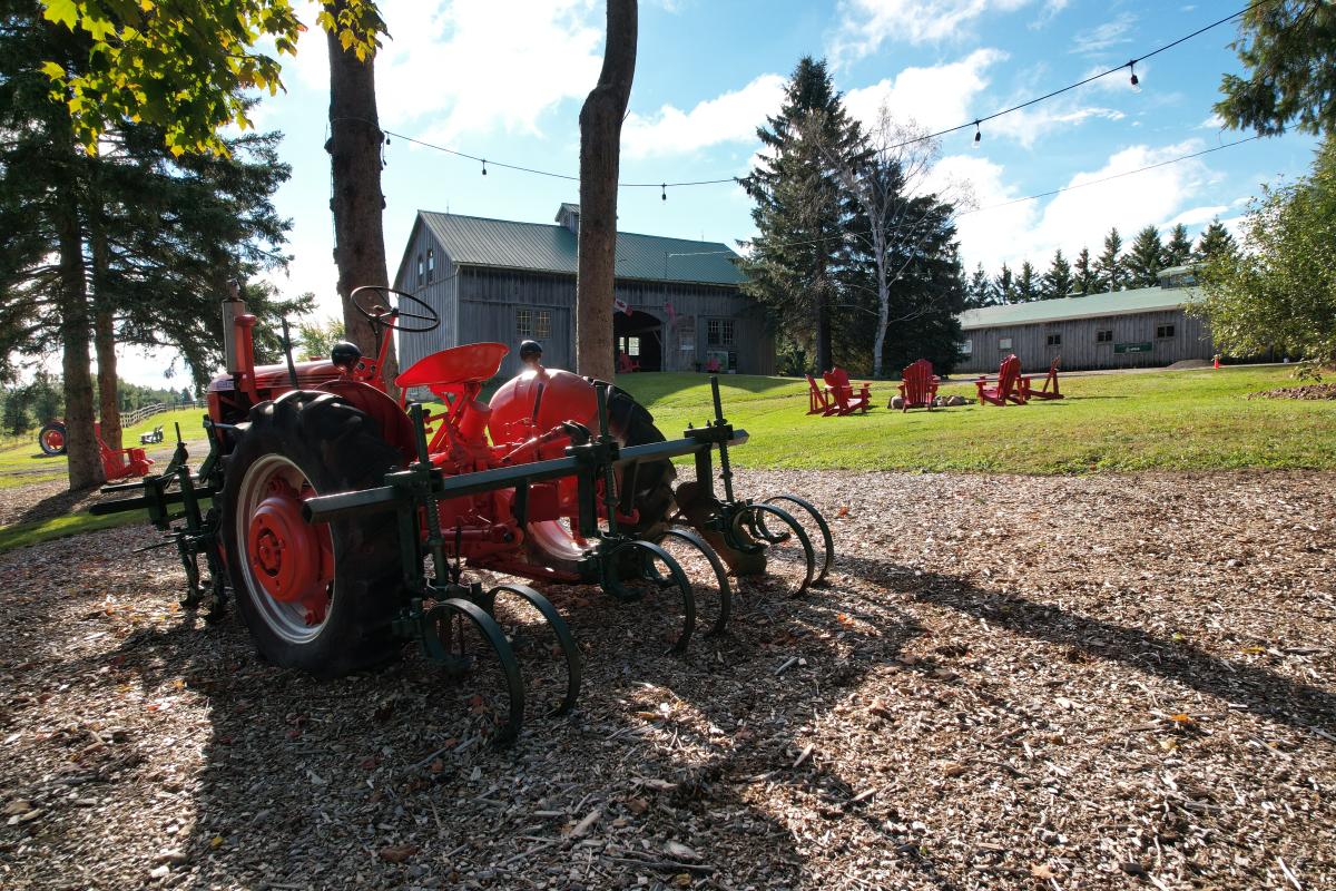 Elliott Tree Farm | Hillsburgh, ON N0B 1Z0