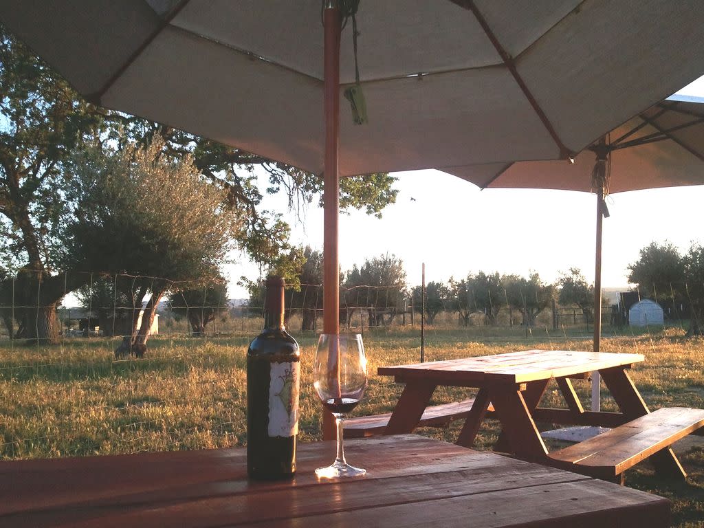 Olivas de Oro Olive Ranch