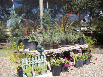 Finley Family Nursery