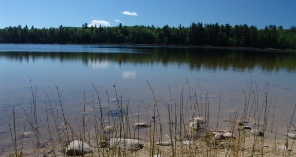 Kehl Lake Natural Area | Northport, MI 49670
