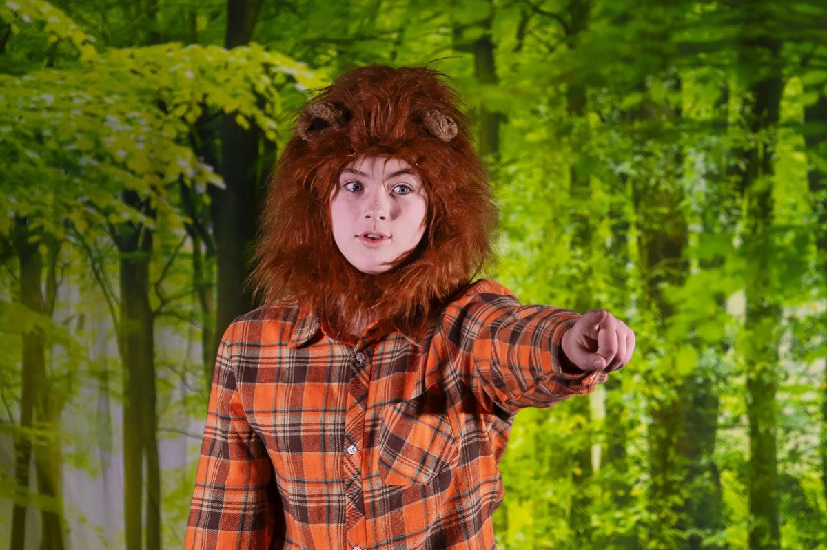 The Lion, The Witch, and The Wardrobe | Traverse City, MI 49685