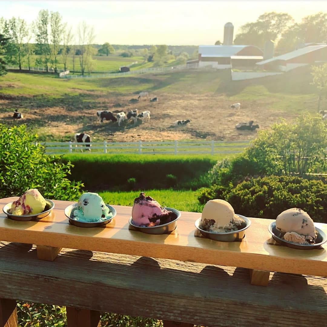 Moomers Homemade Ice Cream | Traverse City, MI 49685