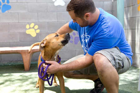 Pima Animal Care Center | Tucson, AZ 85745