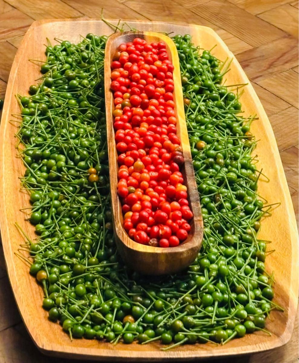 Chilttepica Products