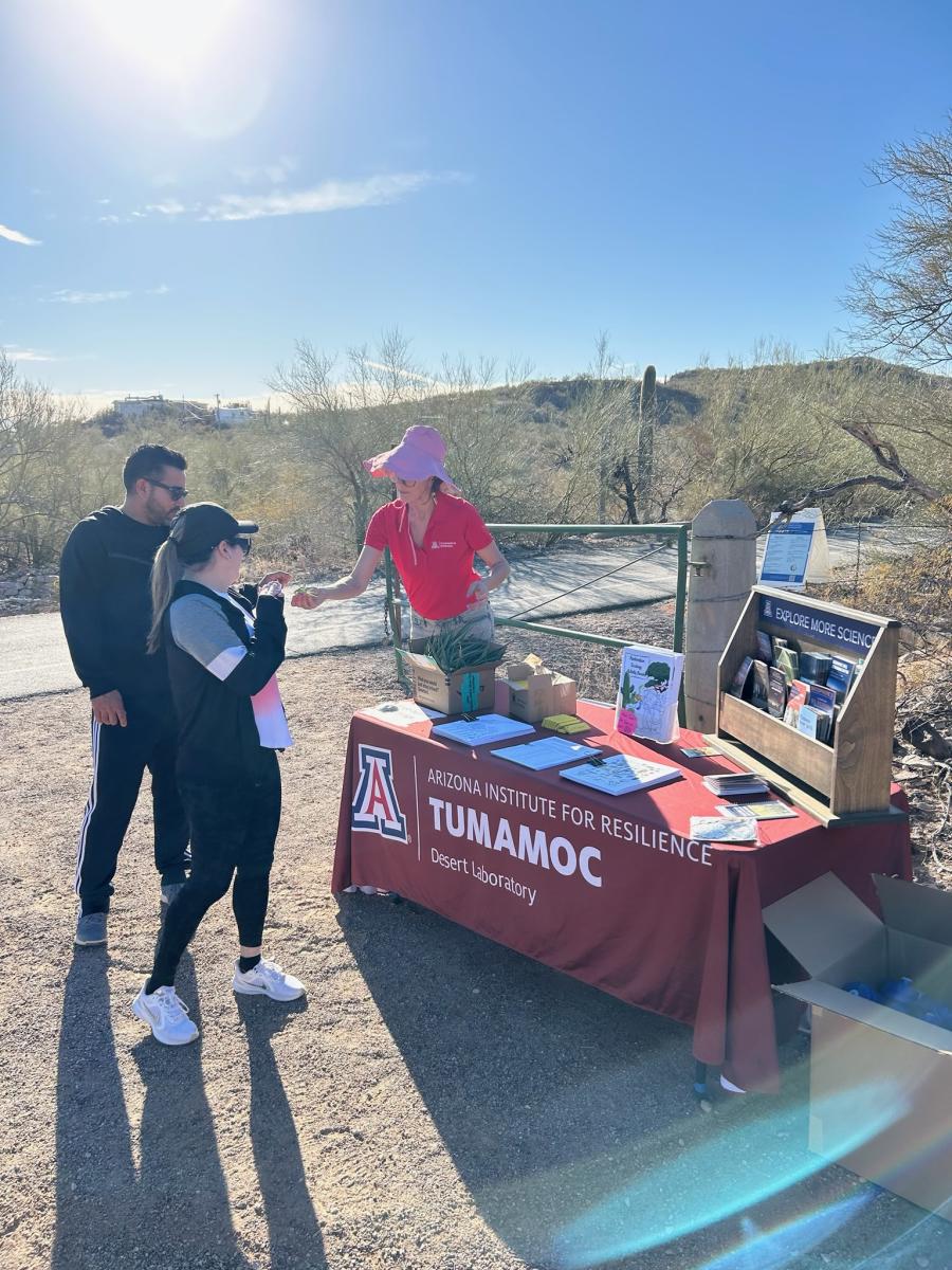 Plant Stravaganza on Tumamoc Hill | Tucson, AZ 85745