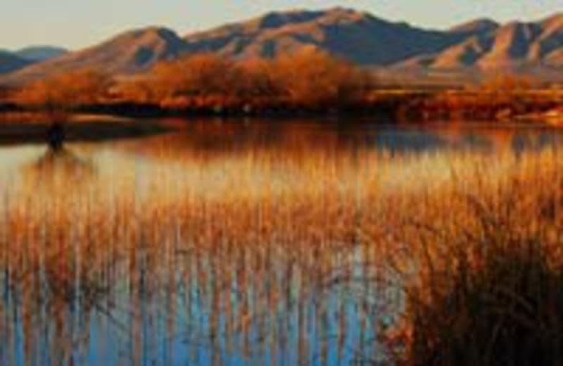 Whitewater Draw Wildlife Refuge