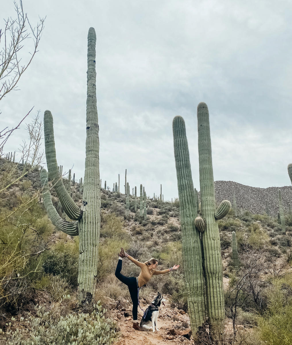 Borderlands Brewing Co. | Tucson, AZ 85701