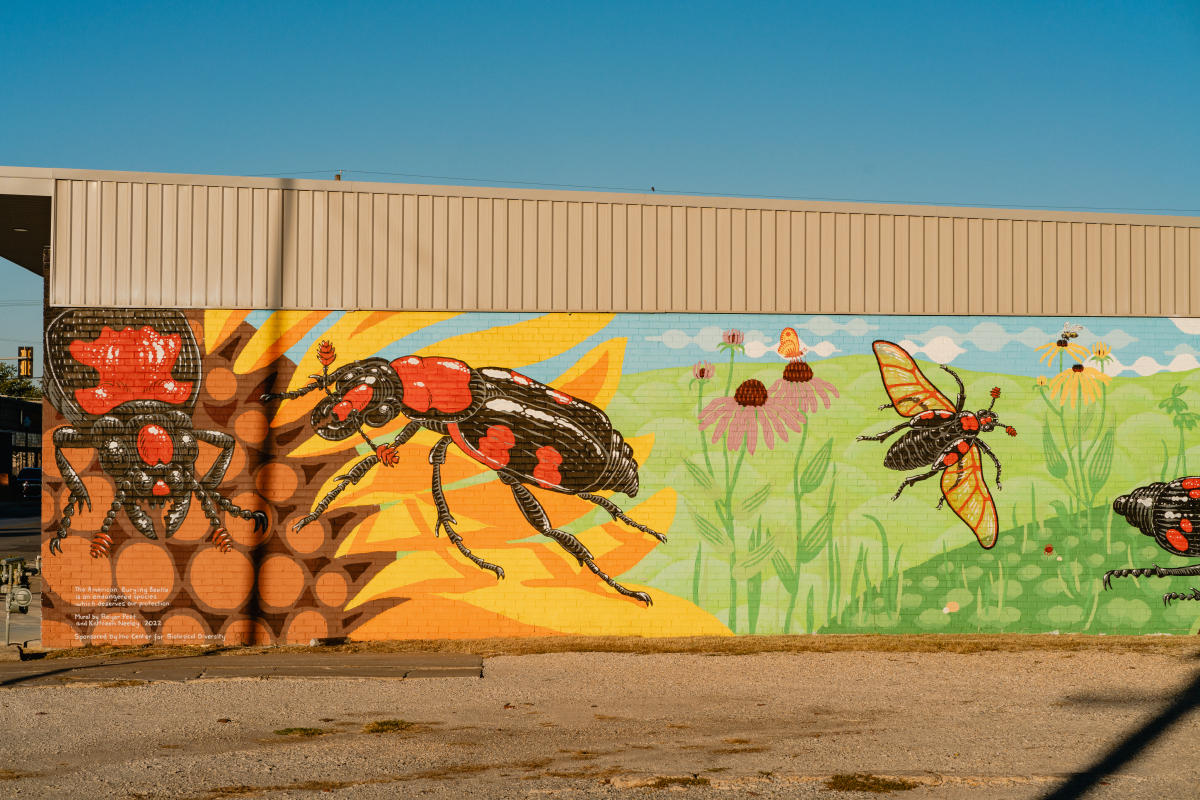 Endangered Species Mural by Kathleen Neely and Roger Peet | Tulsa, OK 74110