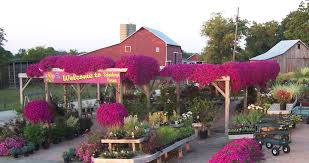 Scheiderer Farms