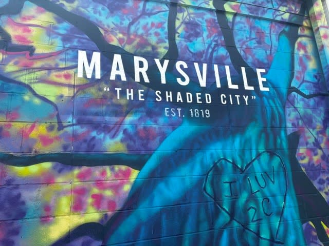 The Shaded City Mural