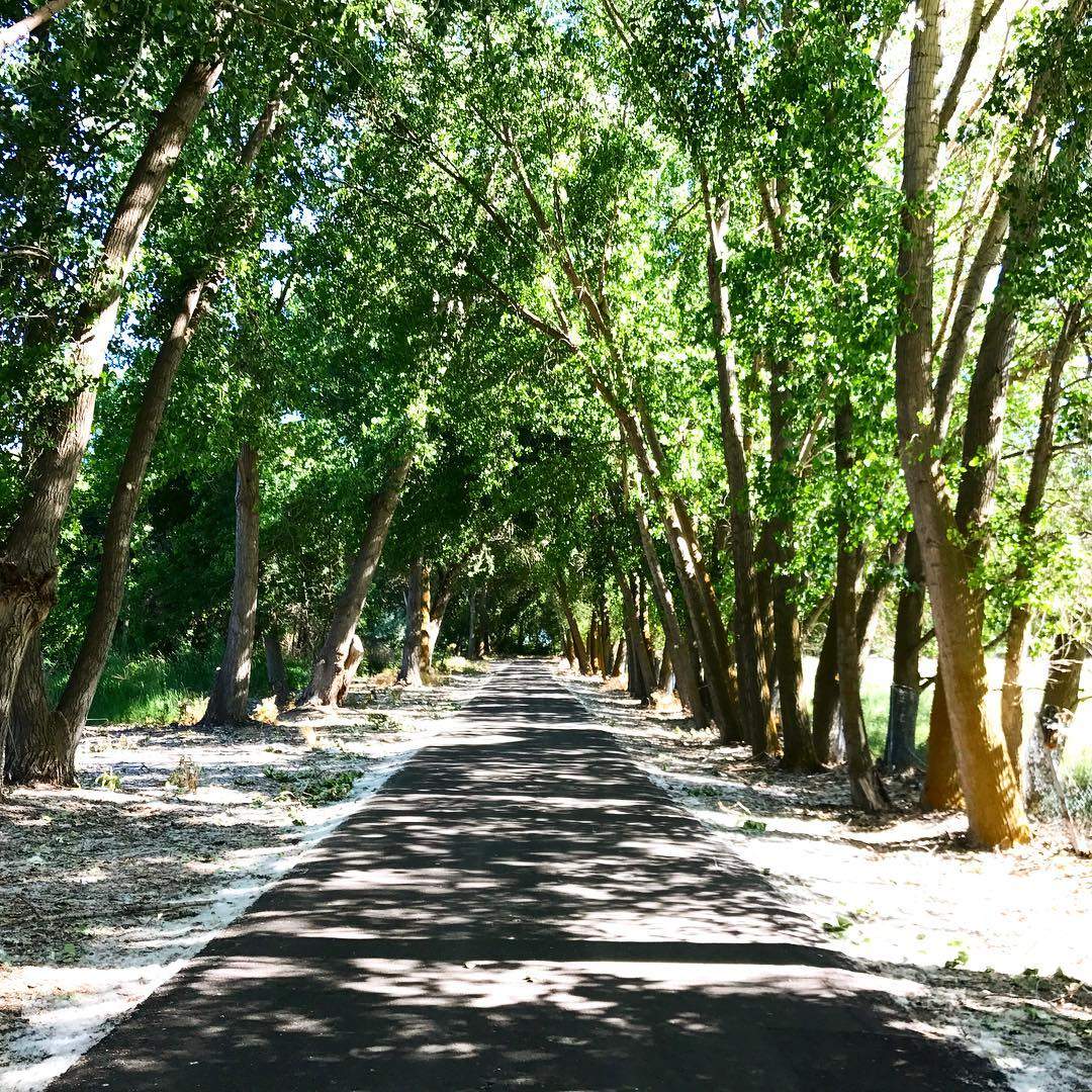 Provo River Parkway Trail