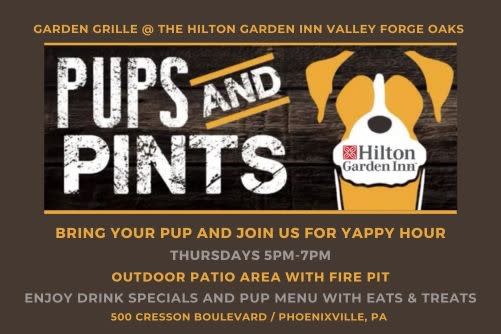 Pups and Pints | Phoenixville, PA