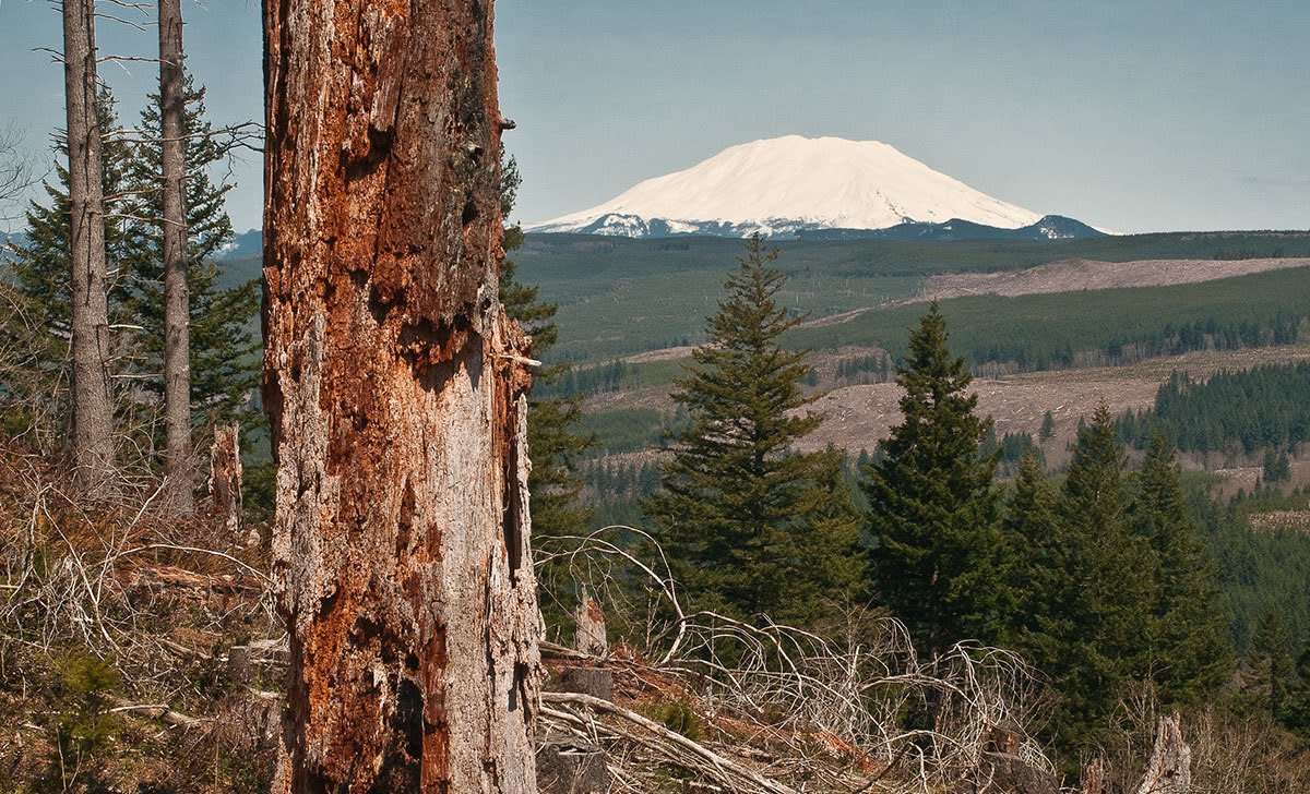Bells Mountain Trail