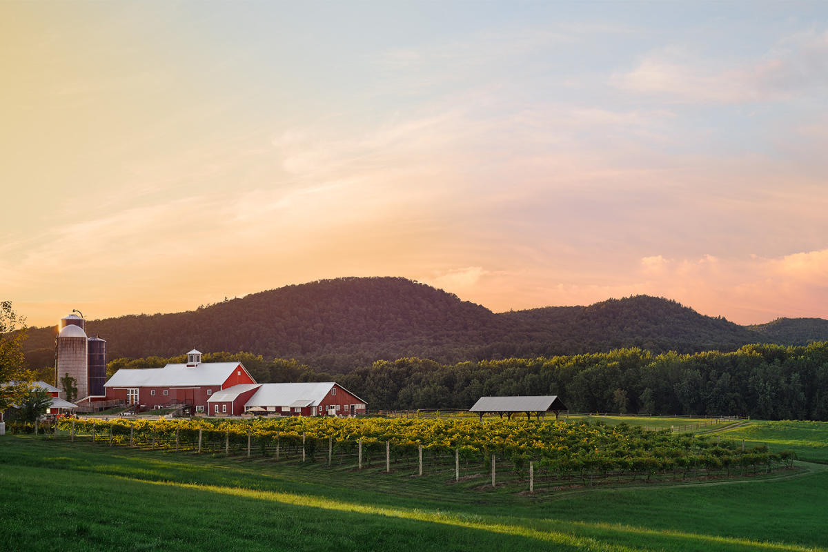 Boyden Valley Winery