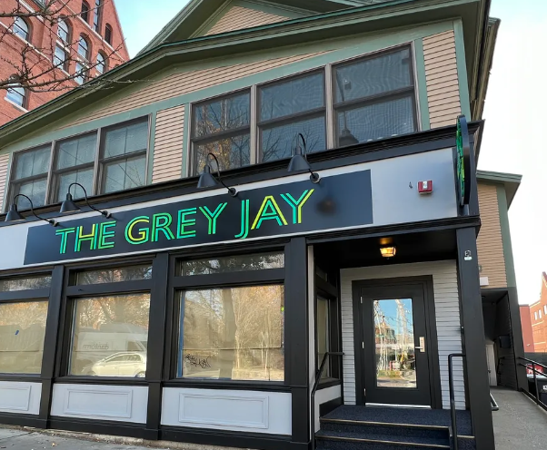 The Grey Jay