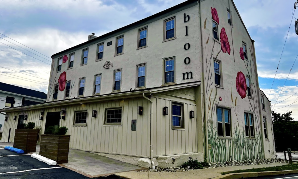 Bloom Southern Kitchen | Chester Springs, PA