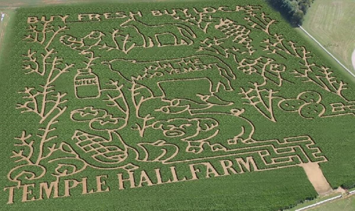 Temple Hall Farm Regional Park