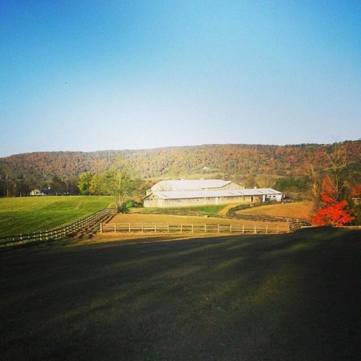 Serene Acres