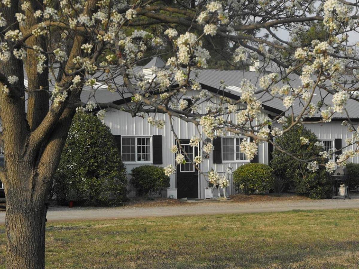 Amazing Grace Stables