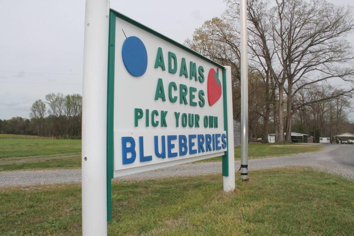 Adams Acres