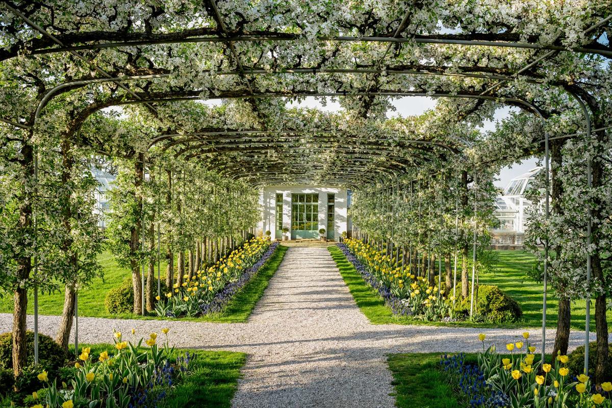 Oak Spring Garden Foundation