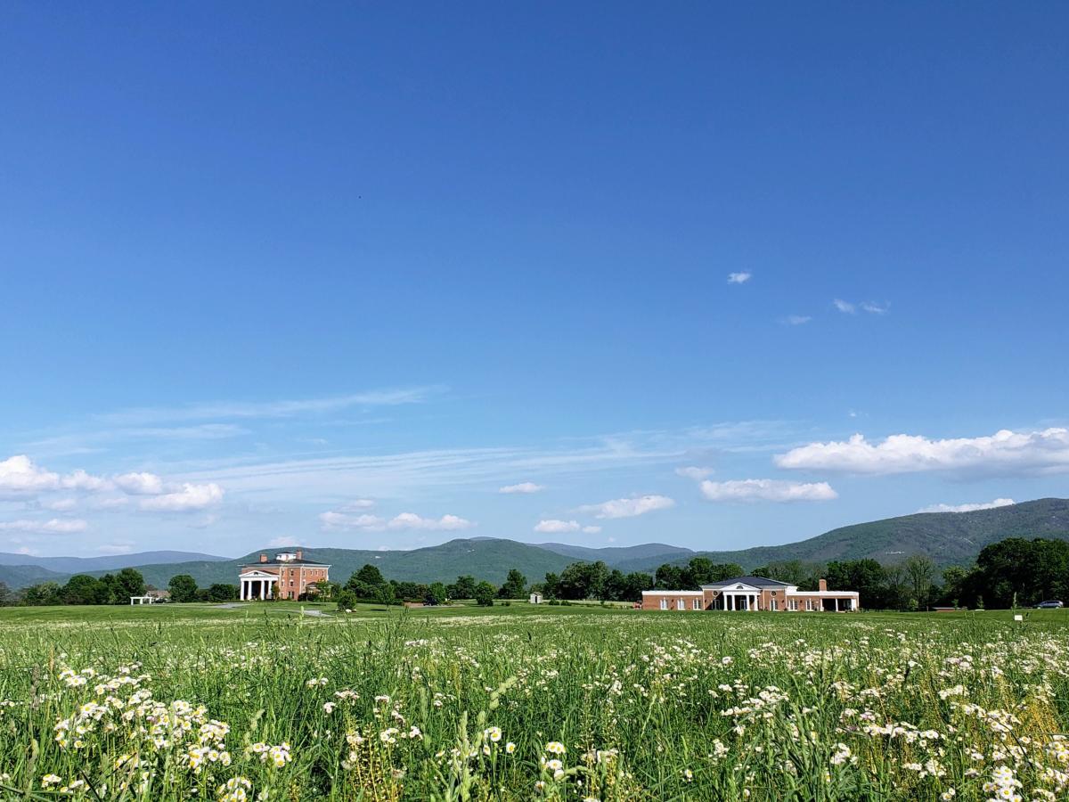 Brix & Columns Vineyards