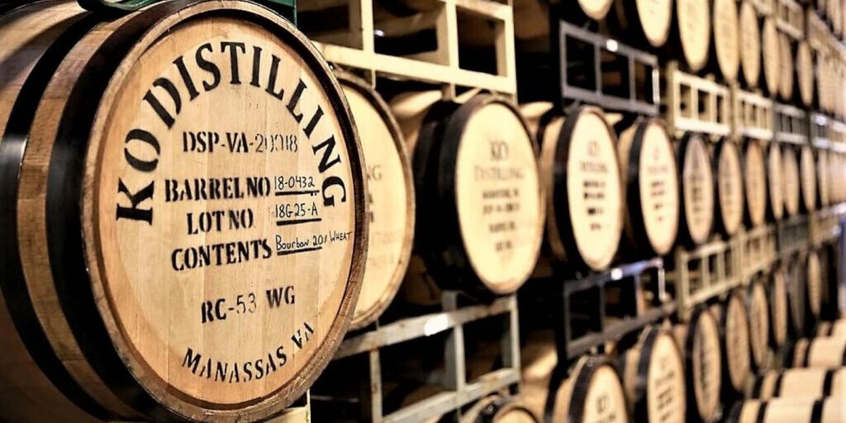 Cyber Raccoon Escape Room