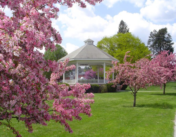 Jackson Park