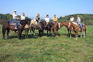 The Wagon Wheel Ranch