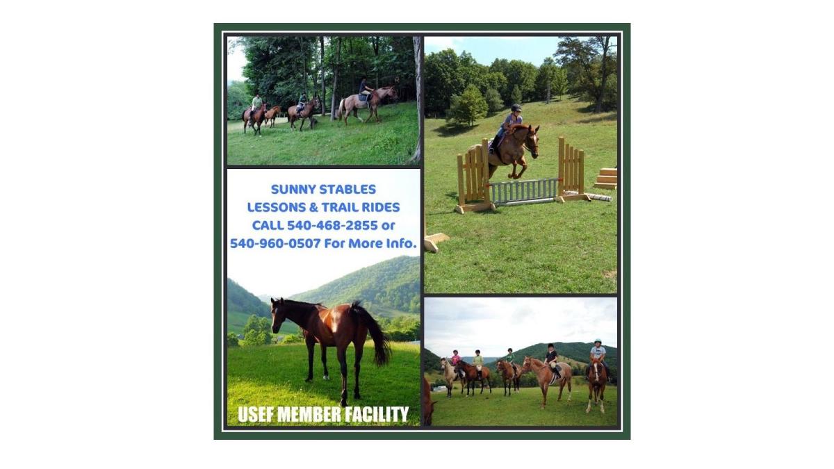 Sunny Stables
