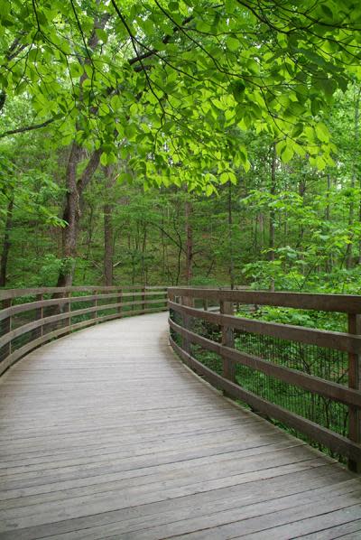 Saunders-Monticello Trail