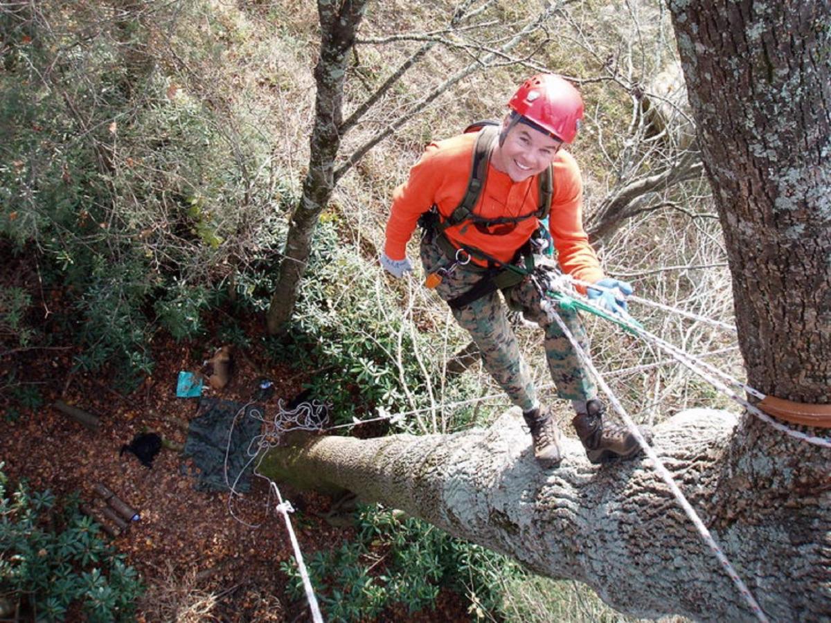 Blue Ridge Tree Climbing, LLC