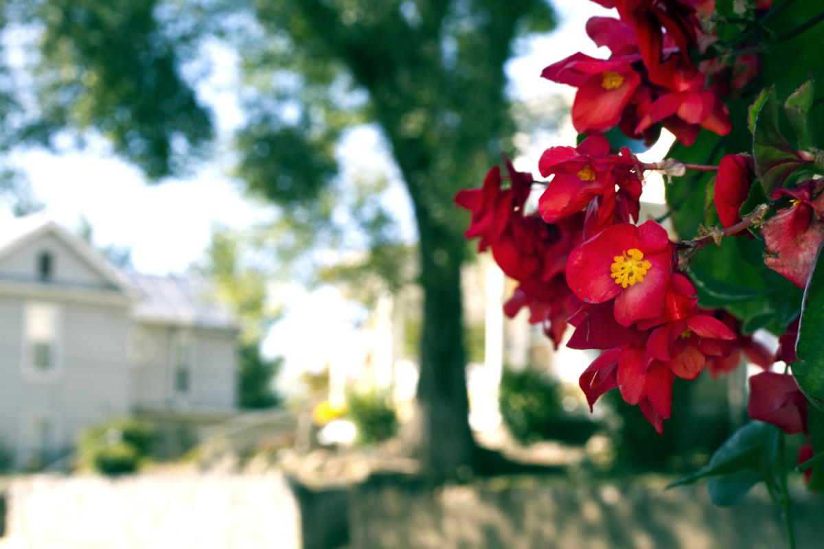 Historic Edinburg self-guided Walking Tour