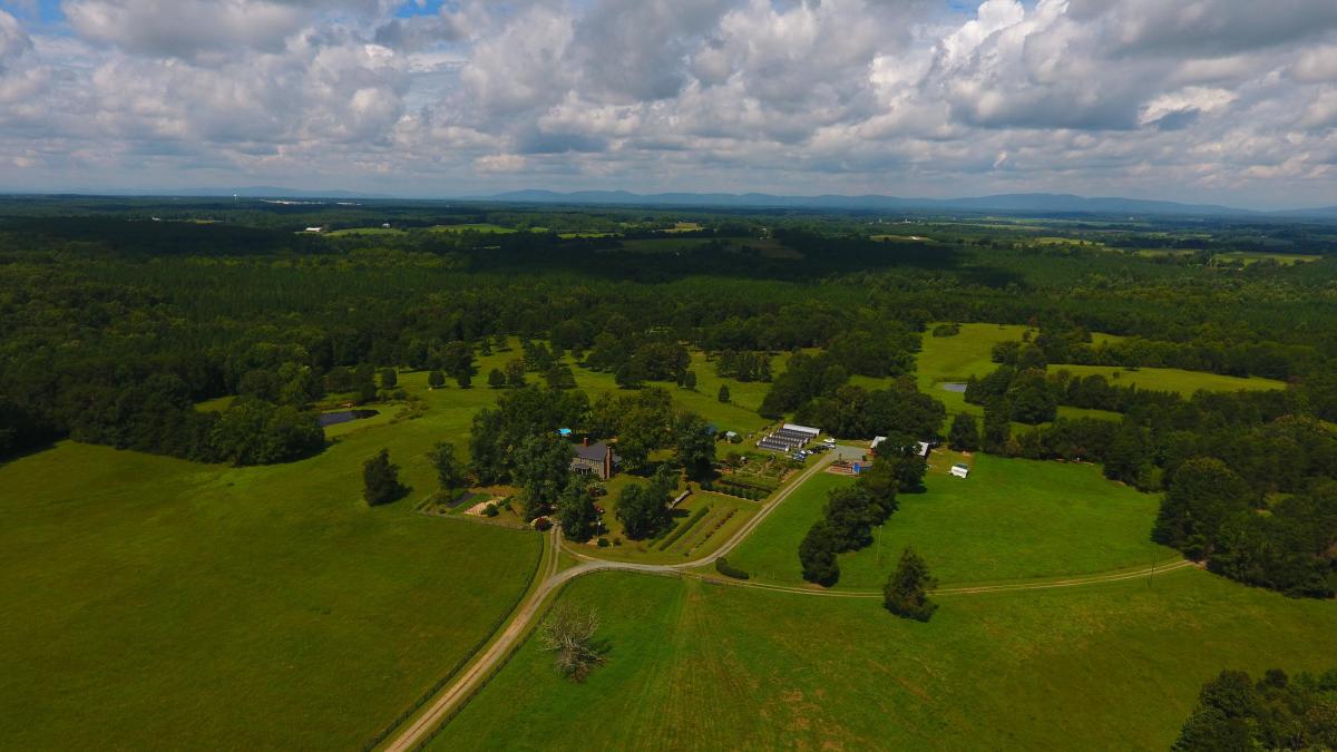 Forrest Green Farm