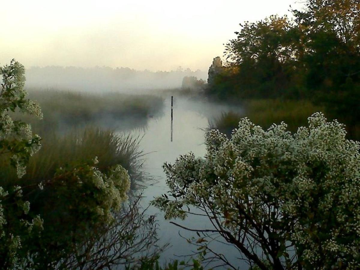 Bells Mill Park - Sports Venue