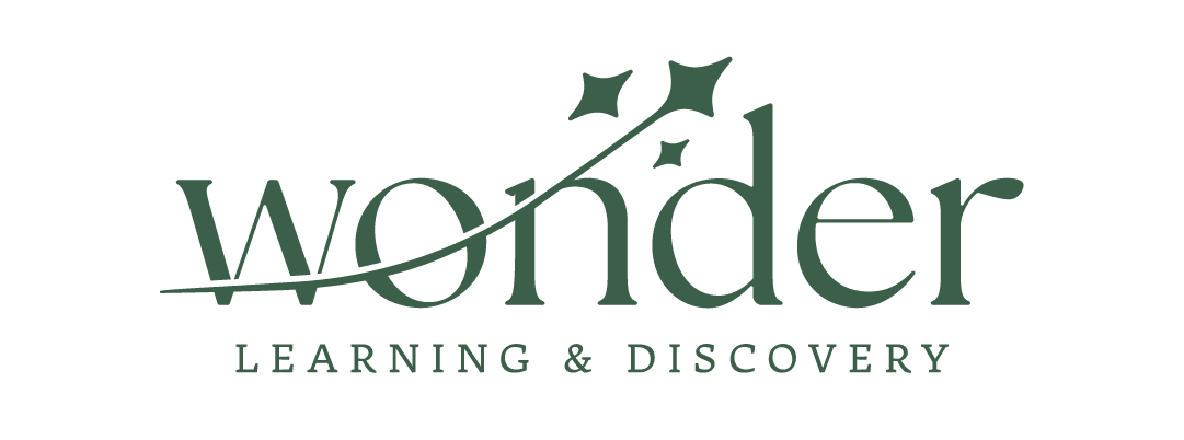 Wonder Childhood Discovery