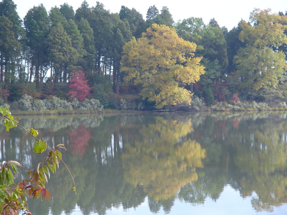 George Washington Birthplace National Monument