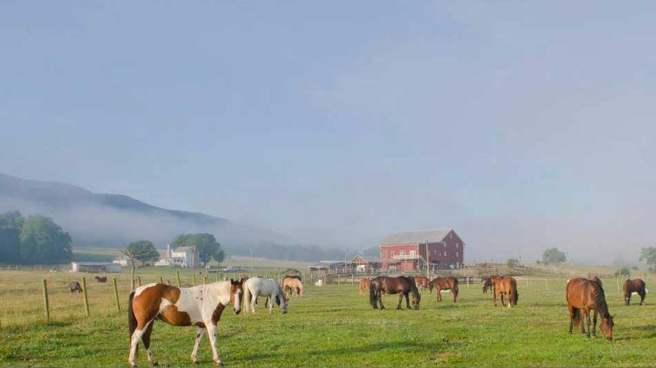 Secret Passage Ranch