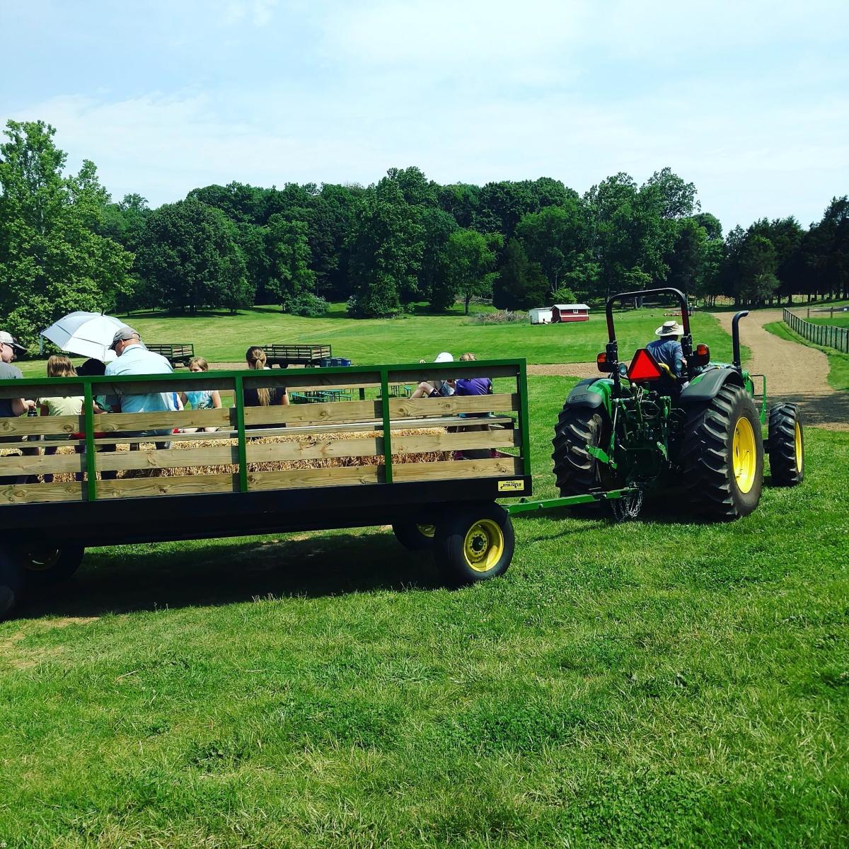 Whitehall Farm and Market